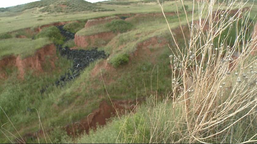 How Tire Dumping Harms the Environment – TreadWright Tires CA